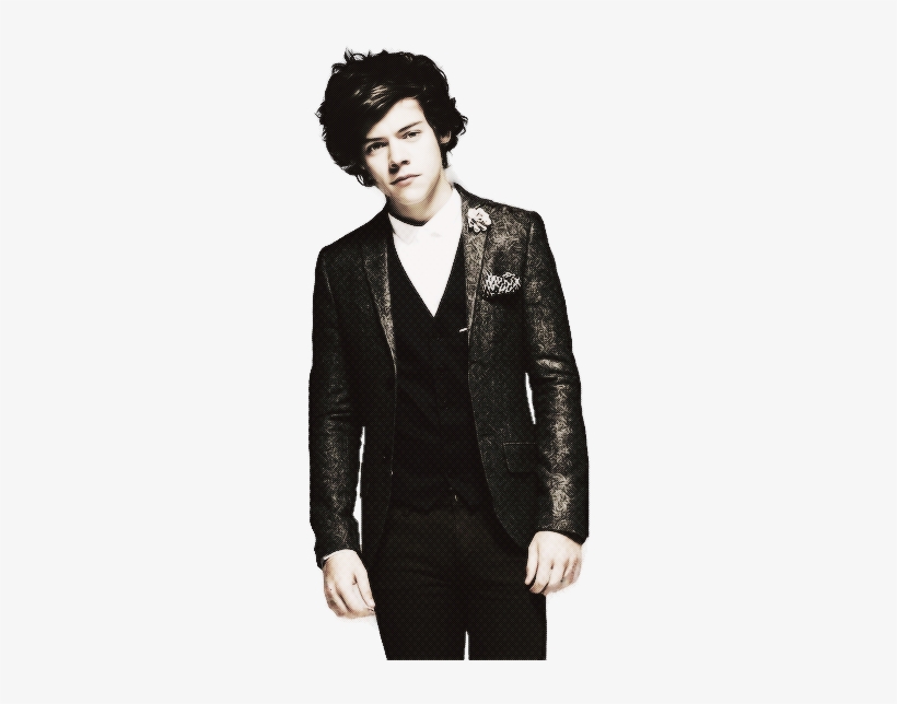 Harry Styles PNG Image | Transparent PNG Free Download on SeekPNG