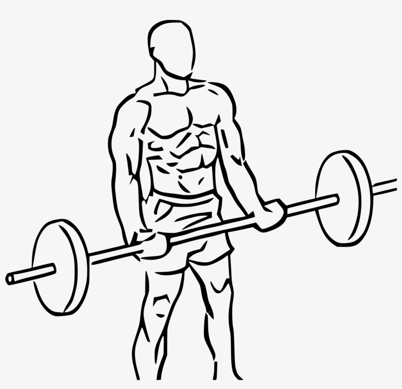 Open - Barbell Curls Icon PNG Image | Transparent PNG Free Download on ...