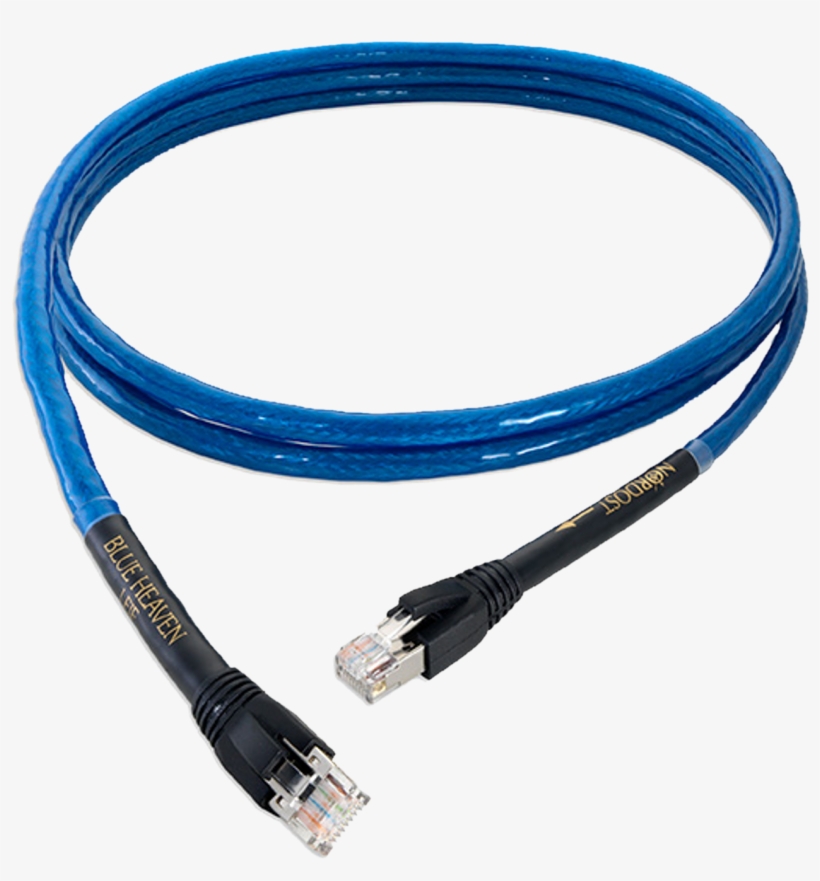 Ethernet Cable - Ethernet PNG Image | Transparent PNG Free Download on ...