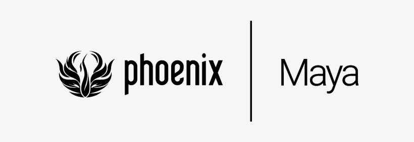 Chaos Group Bundle - V-ray 3.x + Phoenix Fd 3.x For PNG Image ...