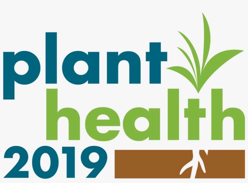 Apsnet - Book PNG Image | Transparent PNG Free Download on SeekPNG