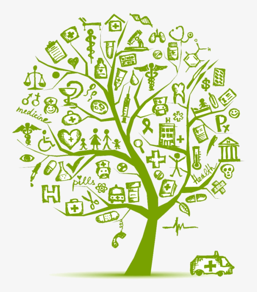 Human Health Explained Through The Physics Of The Human - Role Of ...