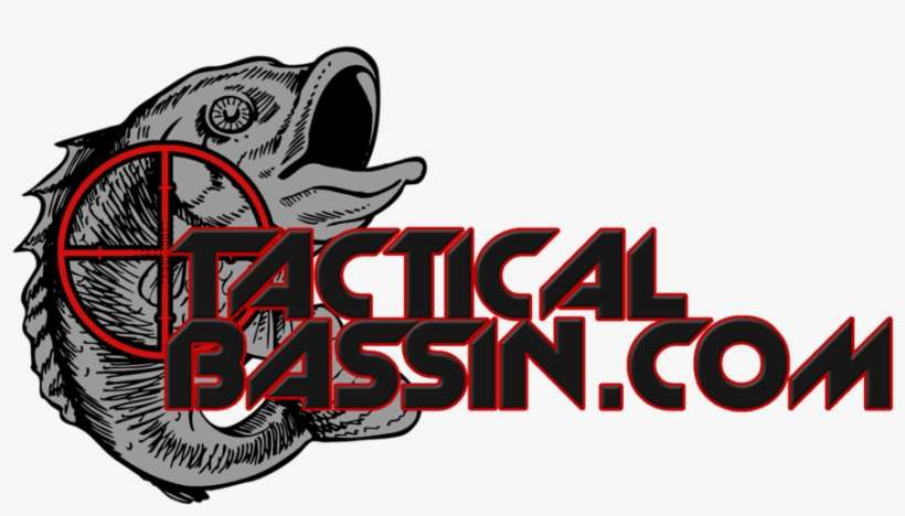 Fish Scales Png PNG Image | Transparent PNG Free Download on SeekPNG