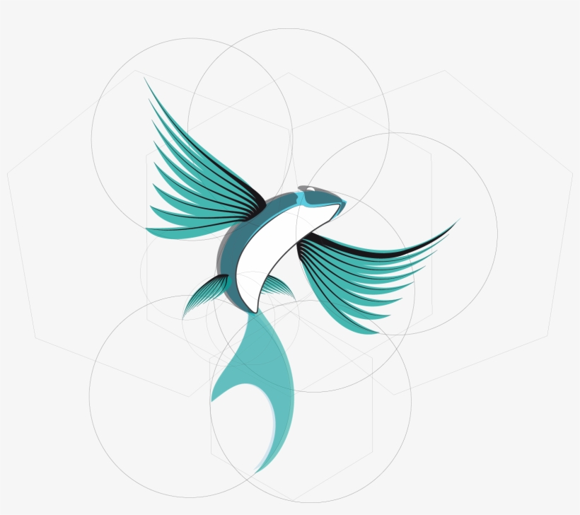 Flyingfish Logo - - Flying Fish PNG Image | Transparent PNG Free ...