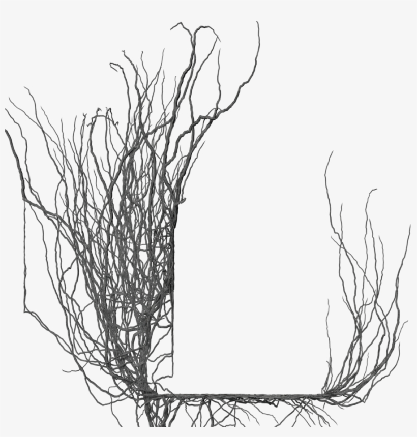 Vector Royalty Free Stock Branch Transparent Gothic - Tree Branch ...