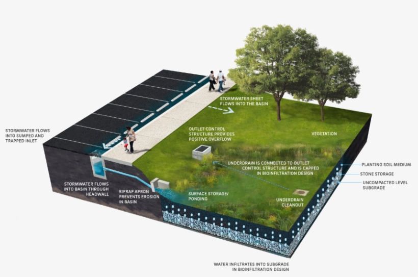 2 Components - Bio Retention PNG Image | Transparent PNG Free Download ...