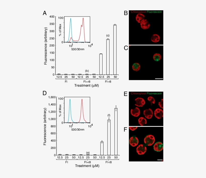 Flow Cytometry And Fluorescence Microscopy Of Cell - Flow Cytometry PNG ...