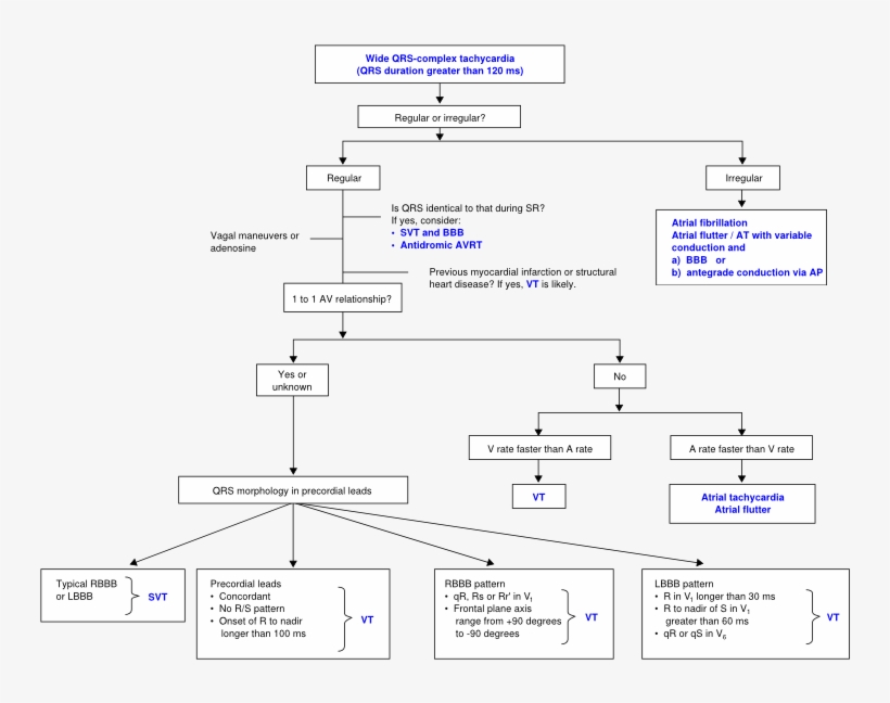 Download The Acc Algorithm [1] - Ventricular Tachycardia | Transparent ...