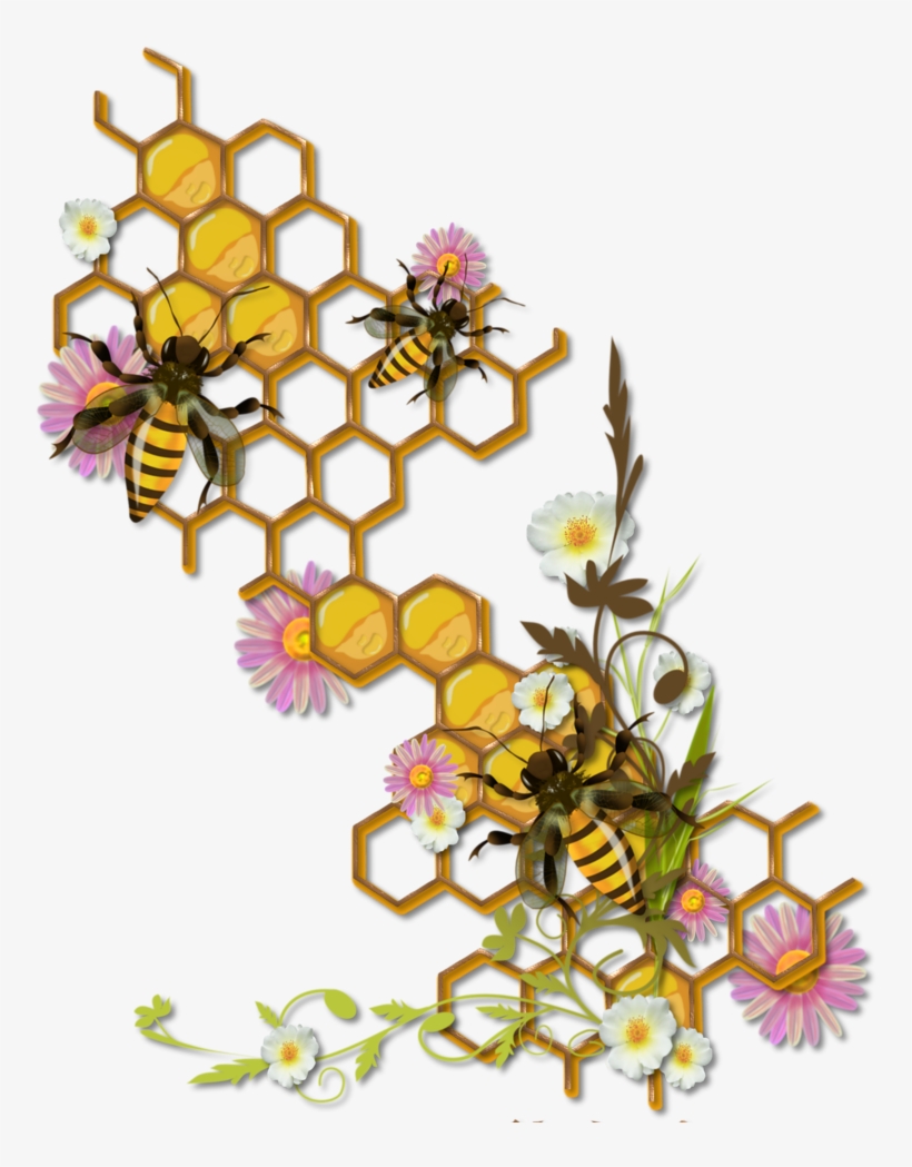 Download Bees🐝bears🐝honey - Bee And Honeycomb Clipart | Transparent PNG ...