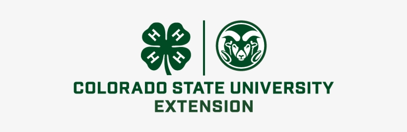 Csu Extension 4-h Logo - Colorado State University PNG Image ...