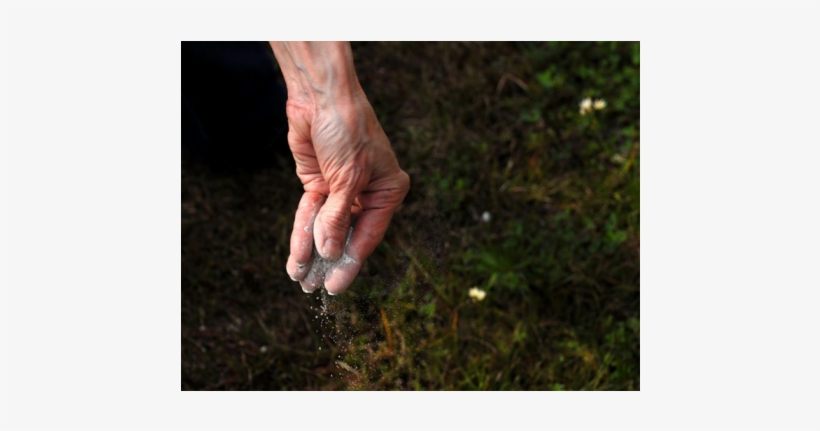 Ashes To Ashes - Cremation PNG Image | Transparent PNG Free Download on ...