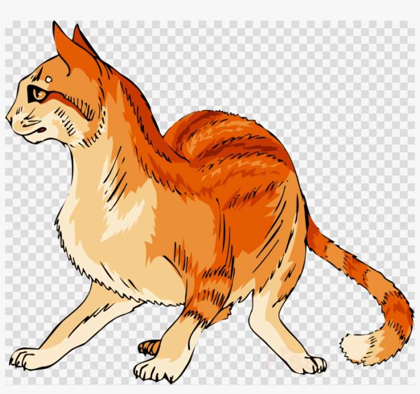 Scared Orange Cat Clipart Cat Kitten Clip Art - Clip Art PNG Image ...