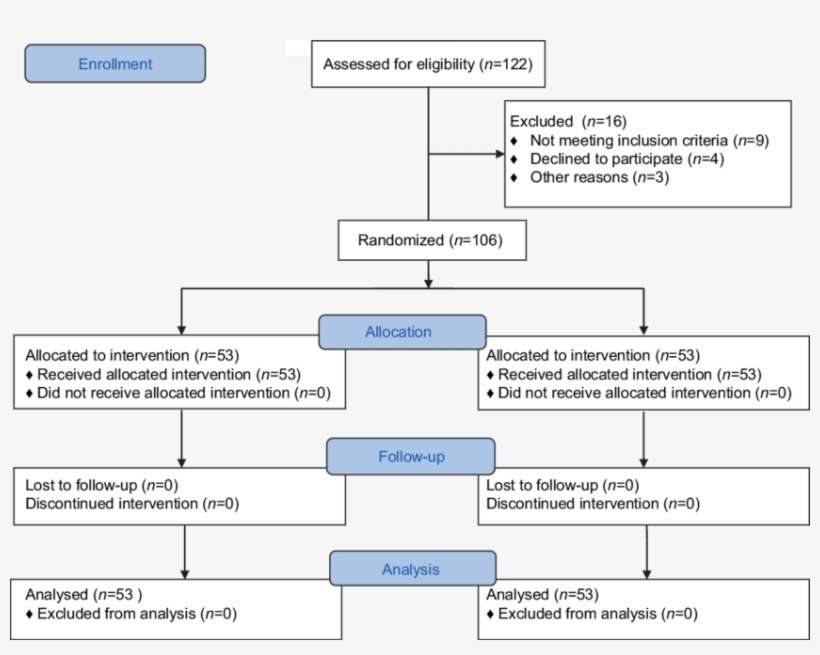 Download Flow Diagram Of The Consort Diagram - Flow Diagram ...