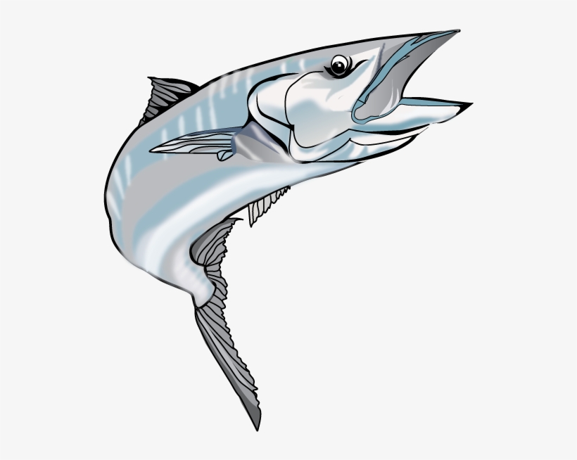 Kingfish Png Image - Kingfish Png PNG Image | Transparent PNG Free ...