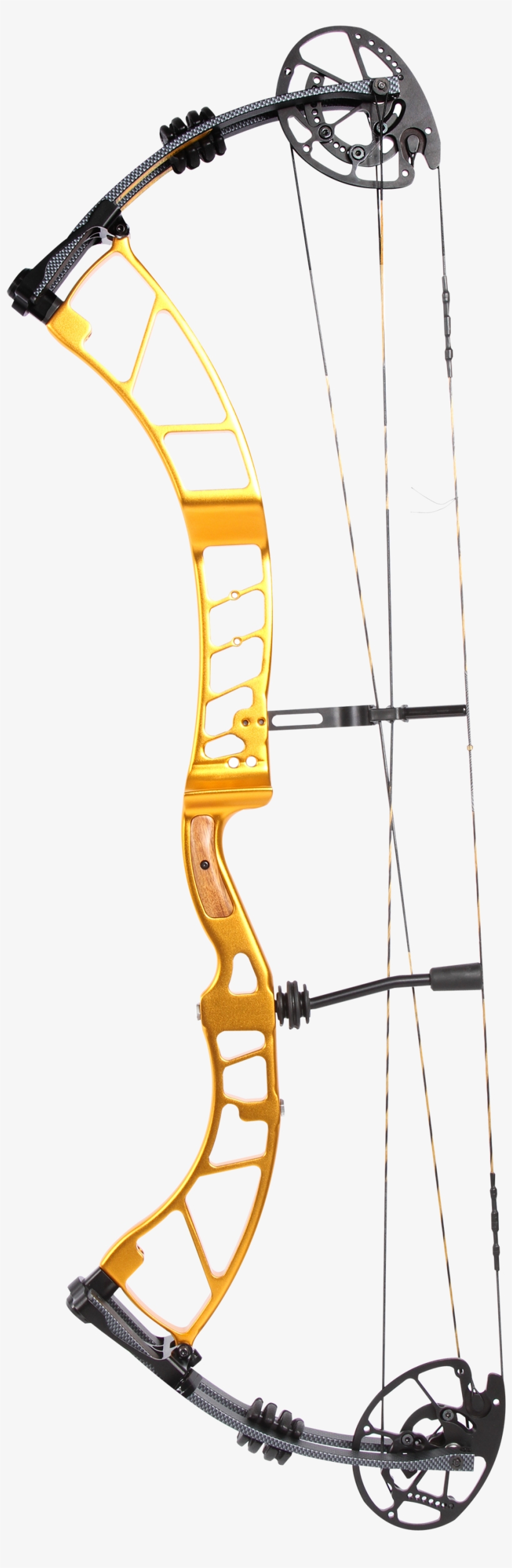 Bow PNG Image | Transparent PNG Free Download on SeekPNG