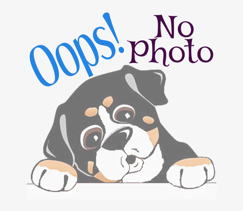 Bella - Dog PNG Image | Transparent PNG Free Download on SeekPNG