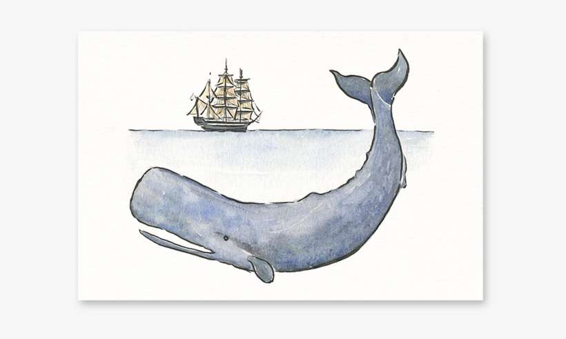 Moby Dick Post-card - Moby-dick PNG Image | Transparent PNG Free ...