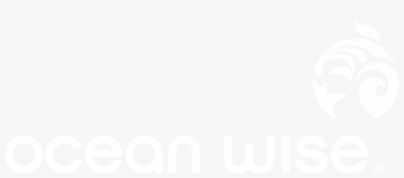 Wordpress Logo White Png PNG Image | Transparent PNG Free Download on ...