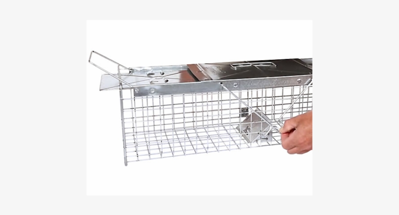 Havahart 1030 Medium 2-door Live Animal Cage Trap, - Havahart 24-inch ...