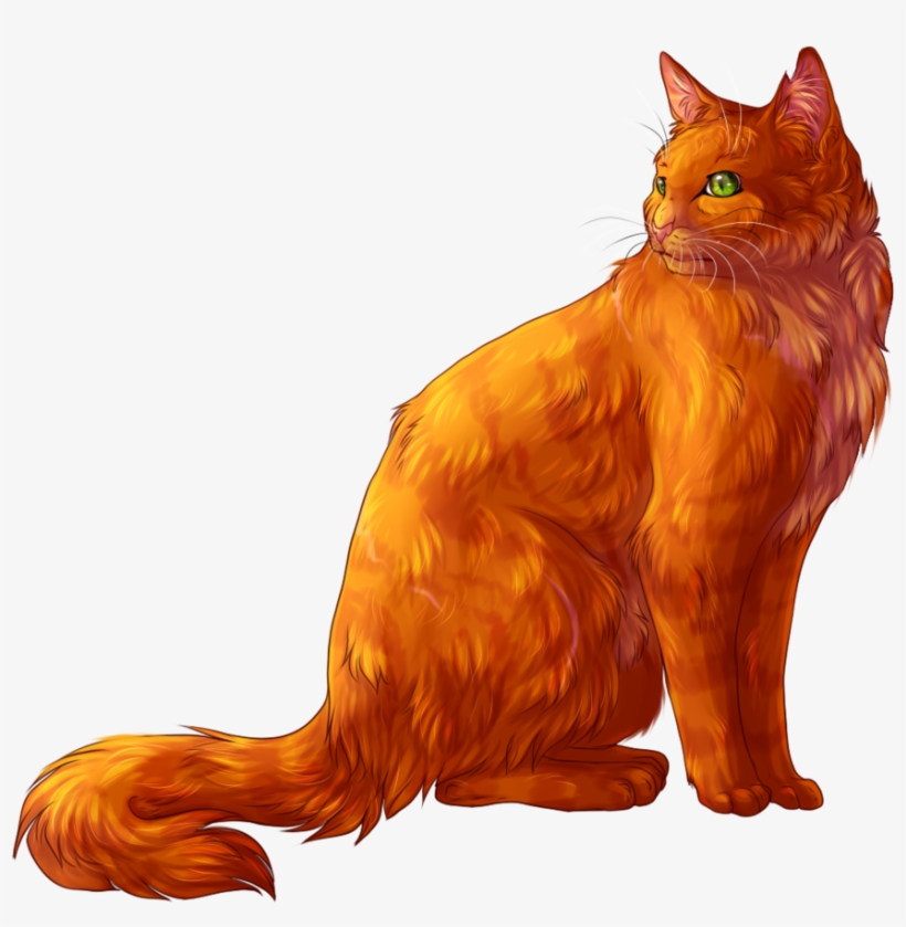 Firestar - Warriors Firestar PNG Image | Transparent PNG Free Download on SeekPNG