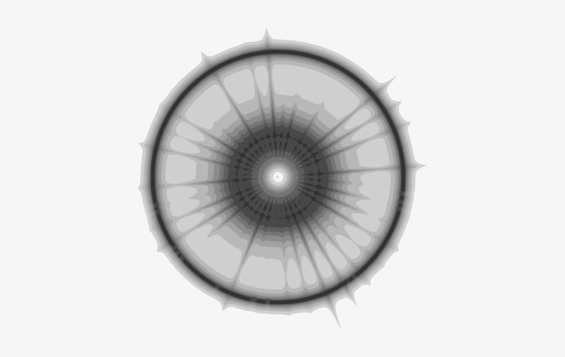 Flare - Circle PNG Image | Transparent PNG Free Download on SeekPNG