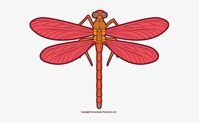 Pink Clipart Dragonfly - Red Dragonfly Clipart PNG Image | Transparent ...