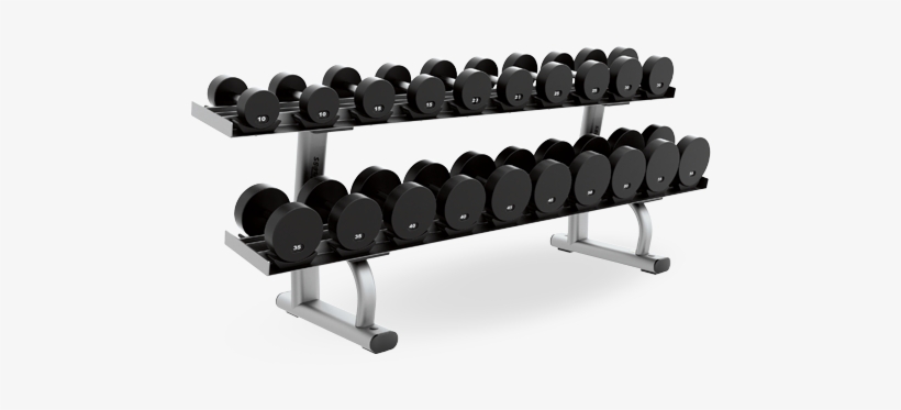 Dumbbell Rack Png Graphic Freeuse - Life Fitness Dumbbell Rack PNG ...