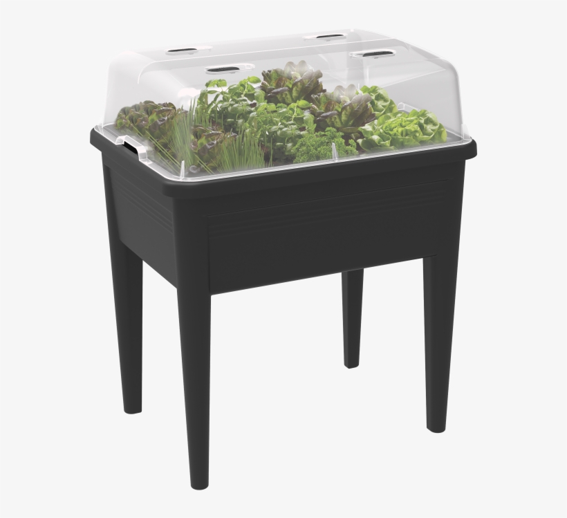 Home > Collection > Green Basics Grow Table Xxl PNG Image | Transparent ...