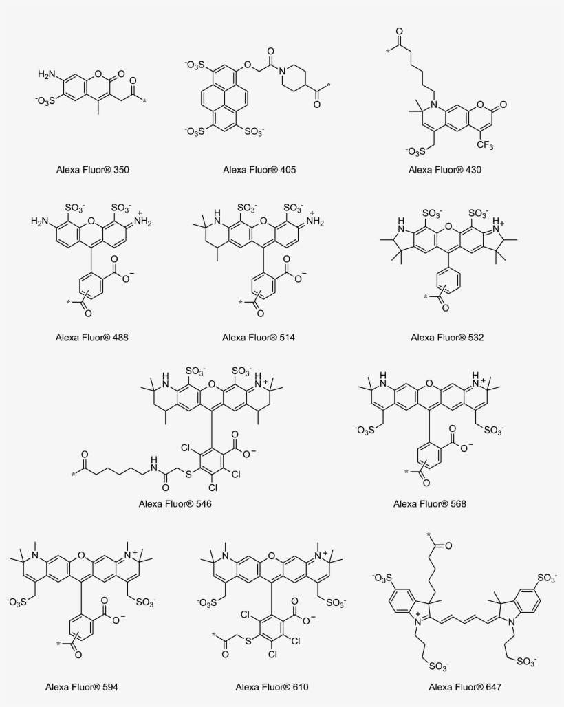Download Structures Of Selected Alexa Fluor® Dyes | Transparent PNG ...