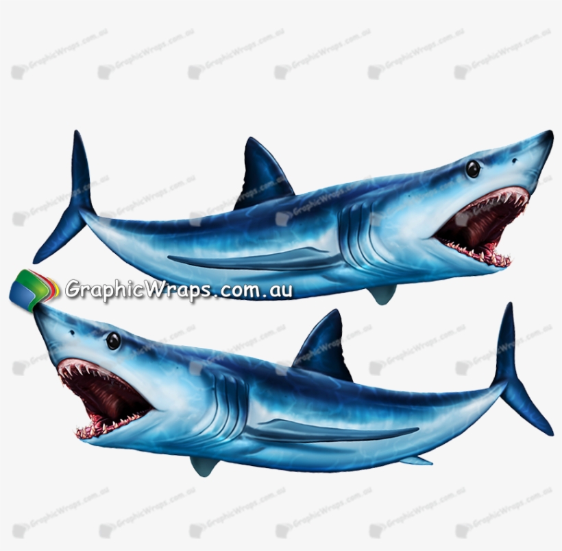 Mako-shark - Great White Shark PNG Image | Transparent PNG Free ...