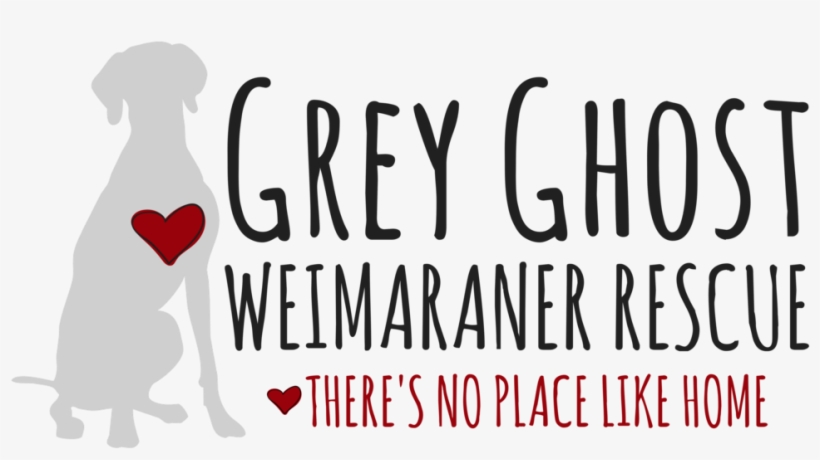 Weimaraner Png PNG Image | Transparent PNG Free Download on SeekPNG