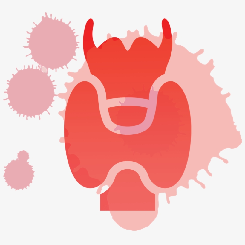 A Stylized Depiction Of The Larynx - Illustration PNG Image ...