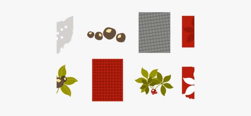 Ohio State Buckeye Leaf - Ohio Buckeye PNG Image | Transparent PNG Free ...