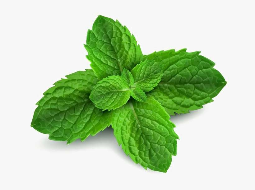 Peppermint Png Free Download - Epic Dental Mints Peppermint -- 60 ...