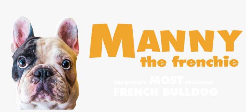 2018 Manny The Frenchie - Motability PNG Image | Transparent PNG Free ...