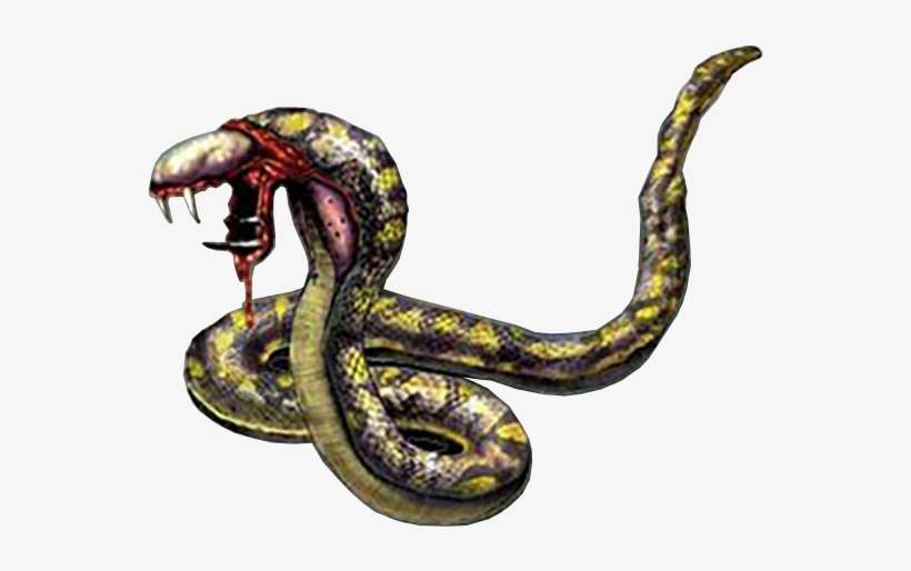 Download Snake - Snake Monster Png | Transparent PNG Download | SeekPNG