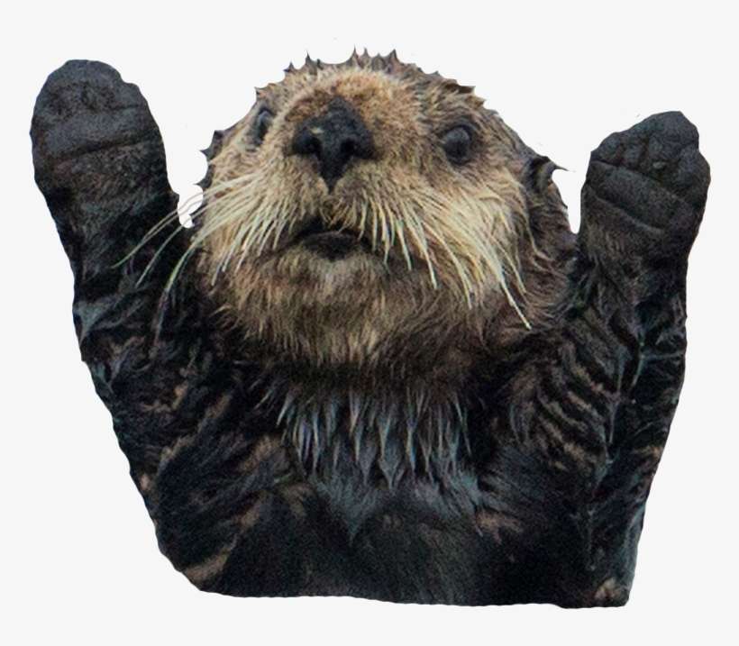 Otters Holding Hands Silhouette