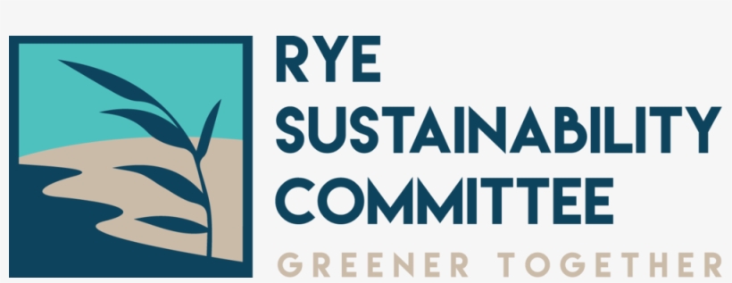 Rsc Logo 1 PNG Image | Transparent PNG Free Download on SeekPNG