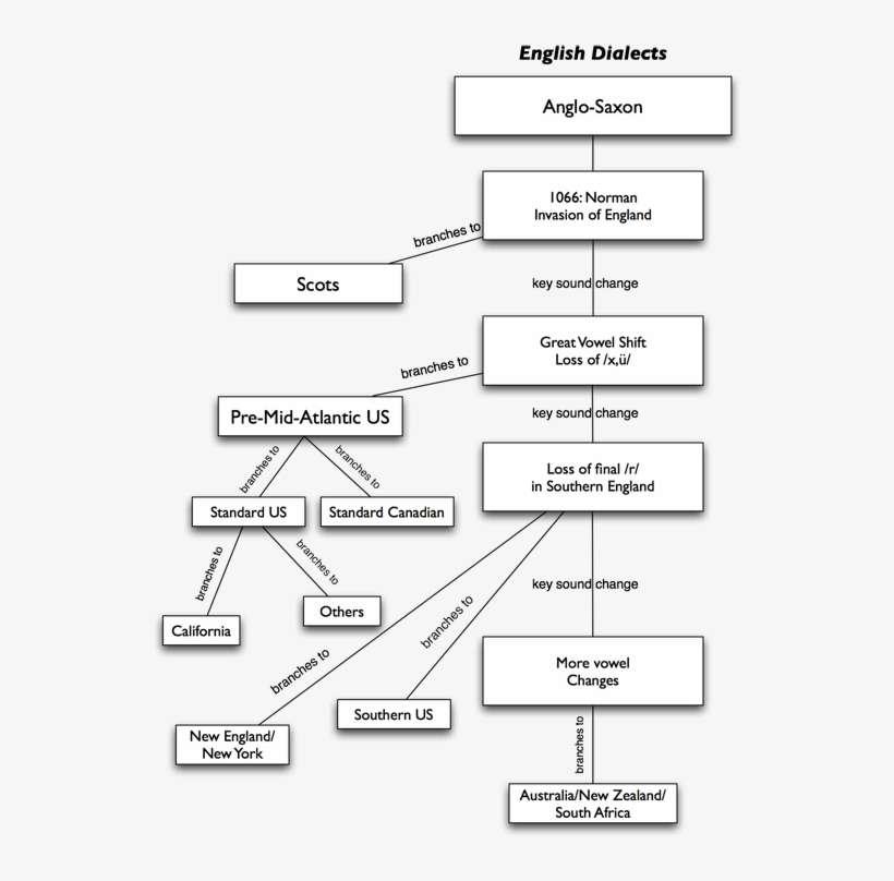 Download Concept Map, No Labels On Arrows, Different Shapes ...