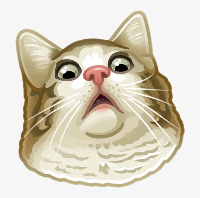 Wtf Face Png PNG Image | Transparent PNG Free Download on SeekPNG