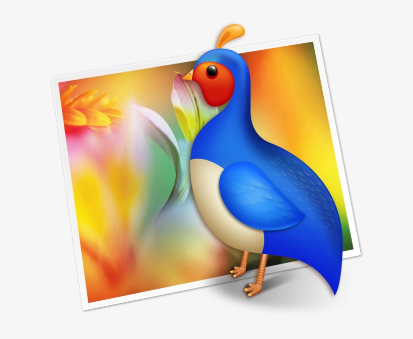 Mac App Store PNG Image | Transparent PNG Free Download on SeekPNG
