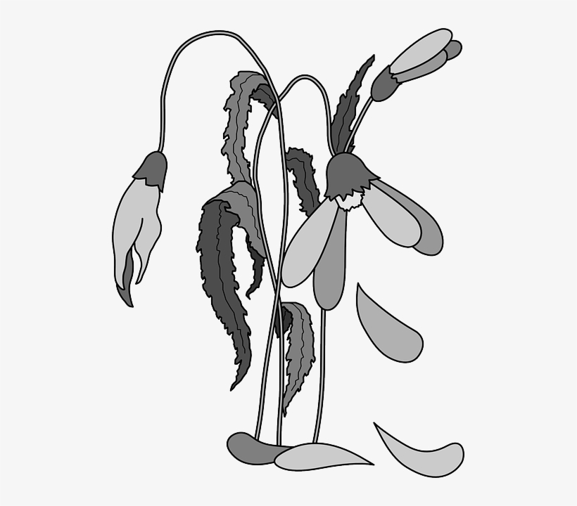 Free Cartoon Download Clip Art On Clipart PNG Image | Transparent PNG ...