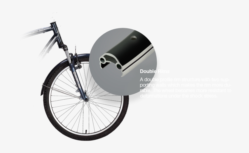 Unicycle Png PNG Image | Transparent PNG Free Download on SeekPNG