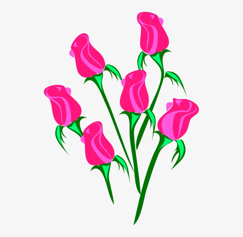 Flower Vector - Clip Art Rose Flowers PNG Image | Transparent PNG Free ...