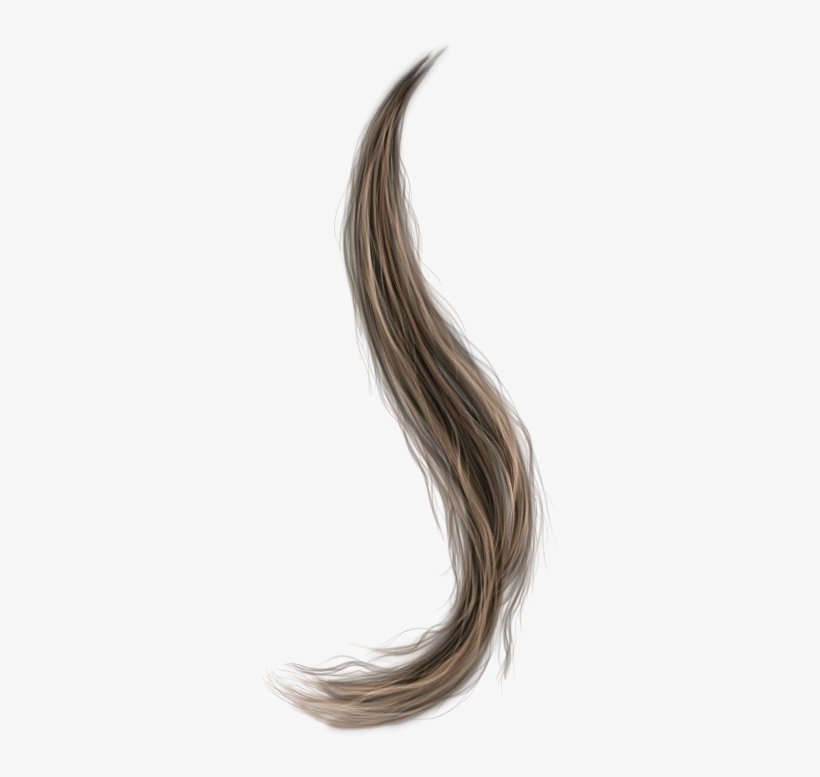 Download Hair Strand Png - Png Transparent Hair Png | Transparent PNG ...