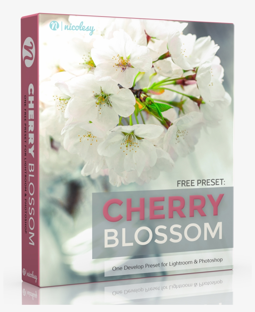 Free Lightroom Preset - Adobe Lightroom PNG Image | Transparent PNG ...