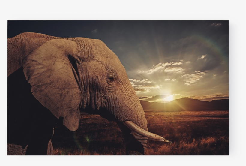 Alone Png PNG Image | Transparent PNG Free Download on SeekPNG