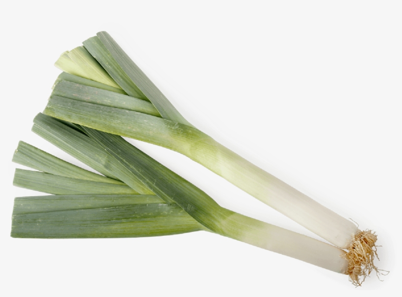 Porro Granel 1 PNG Image | Transparent PNG Free Download on SeekPNG