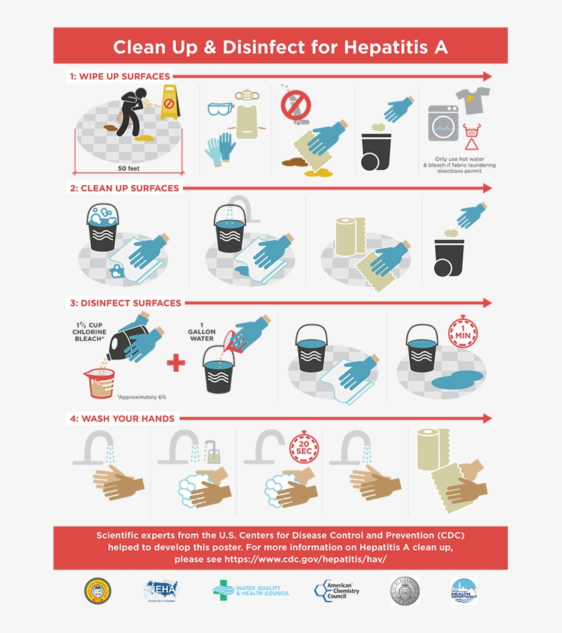 Download Clean Up Infographic | Transparent PNG Download | SeekPNG