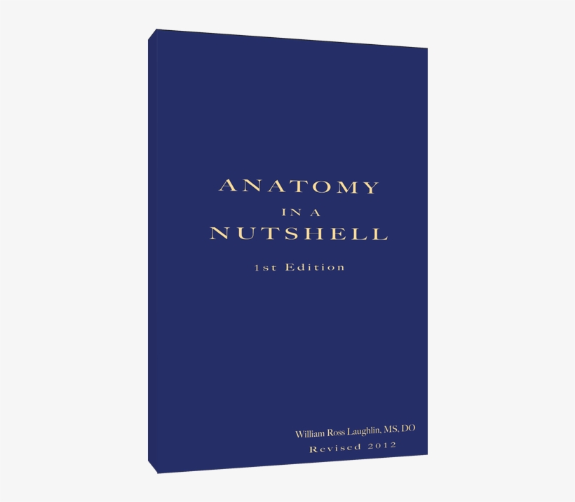 Anatomy In A Nutshell PNG Image | Transparent PNG Free Download on SeekPNG